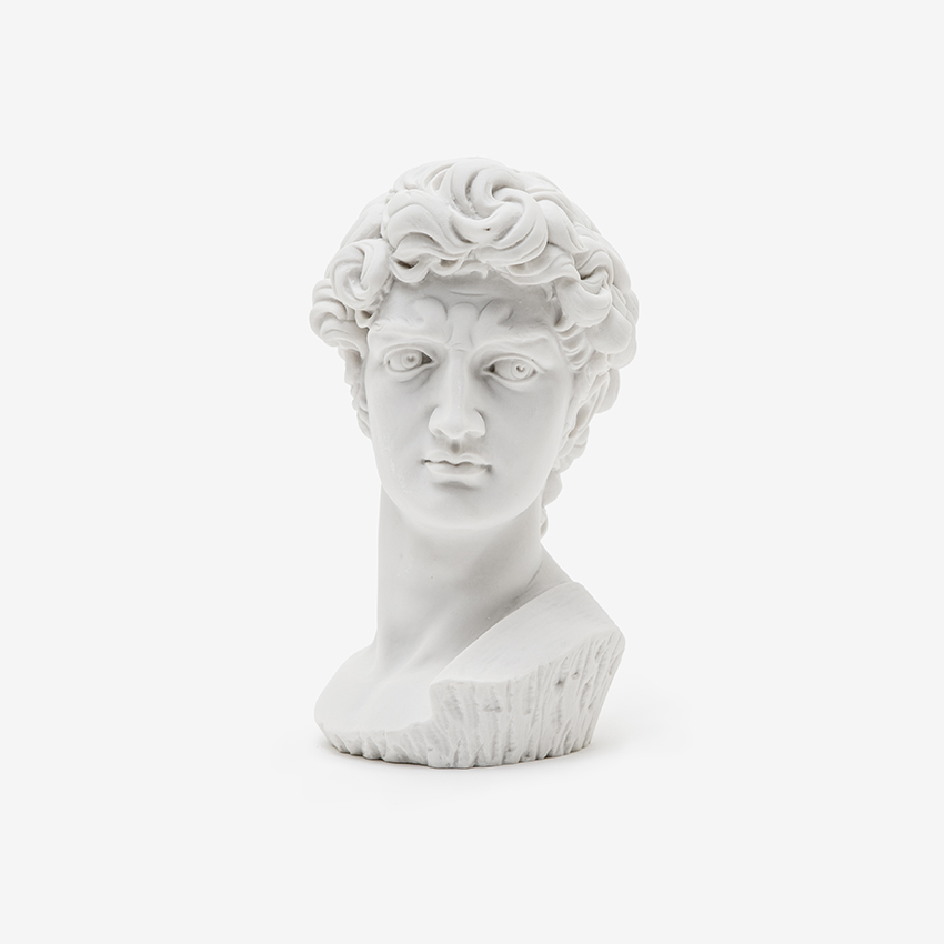 David Bust | Shop Online | BeCulture