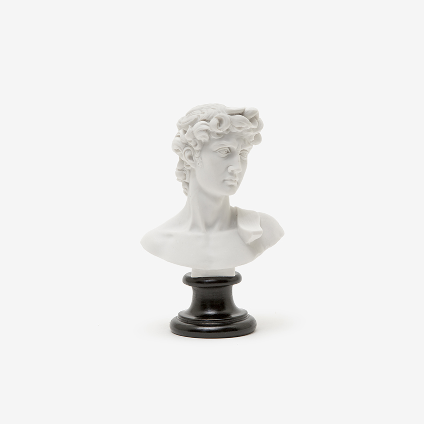 David Bust | Shop Online | BeCulture