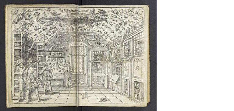 Wunderkammer: meaning, history and famous examples